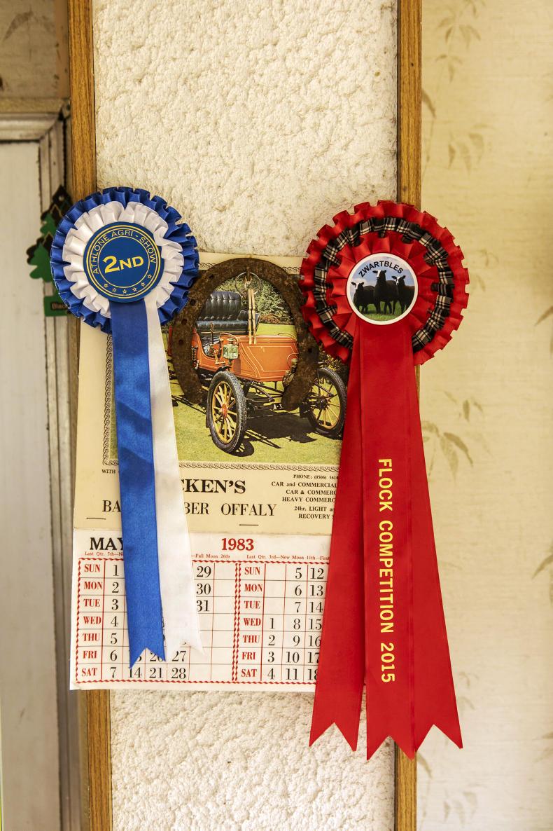 This week in photos: Donegal tractor run, harvesting and Ennis Mart ...