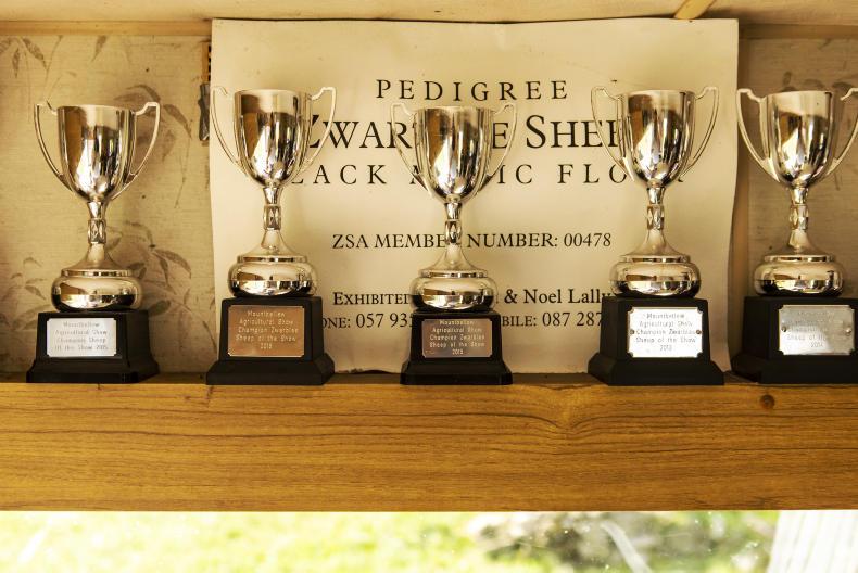 This week in photos: Donegal tractor run, harvesting and Ennis Mart ...