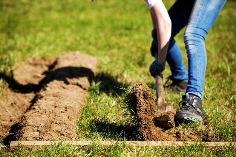 A love of the land and the loy - Premium