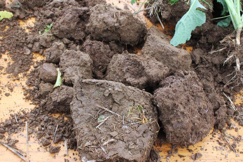 Soil health essential for success - Premium