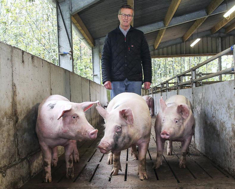 IFA presidential candidate Tim Cullinan - Premium