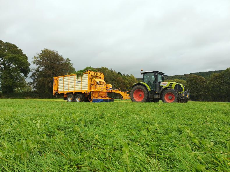 Watch: French zero-grazing machine complements Kilkenny contracting ...
