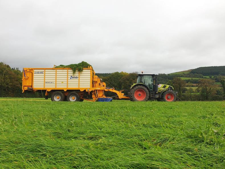 Watch: French zero-grazing machine complements Kilkenny contracting ...