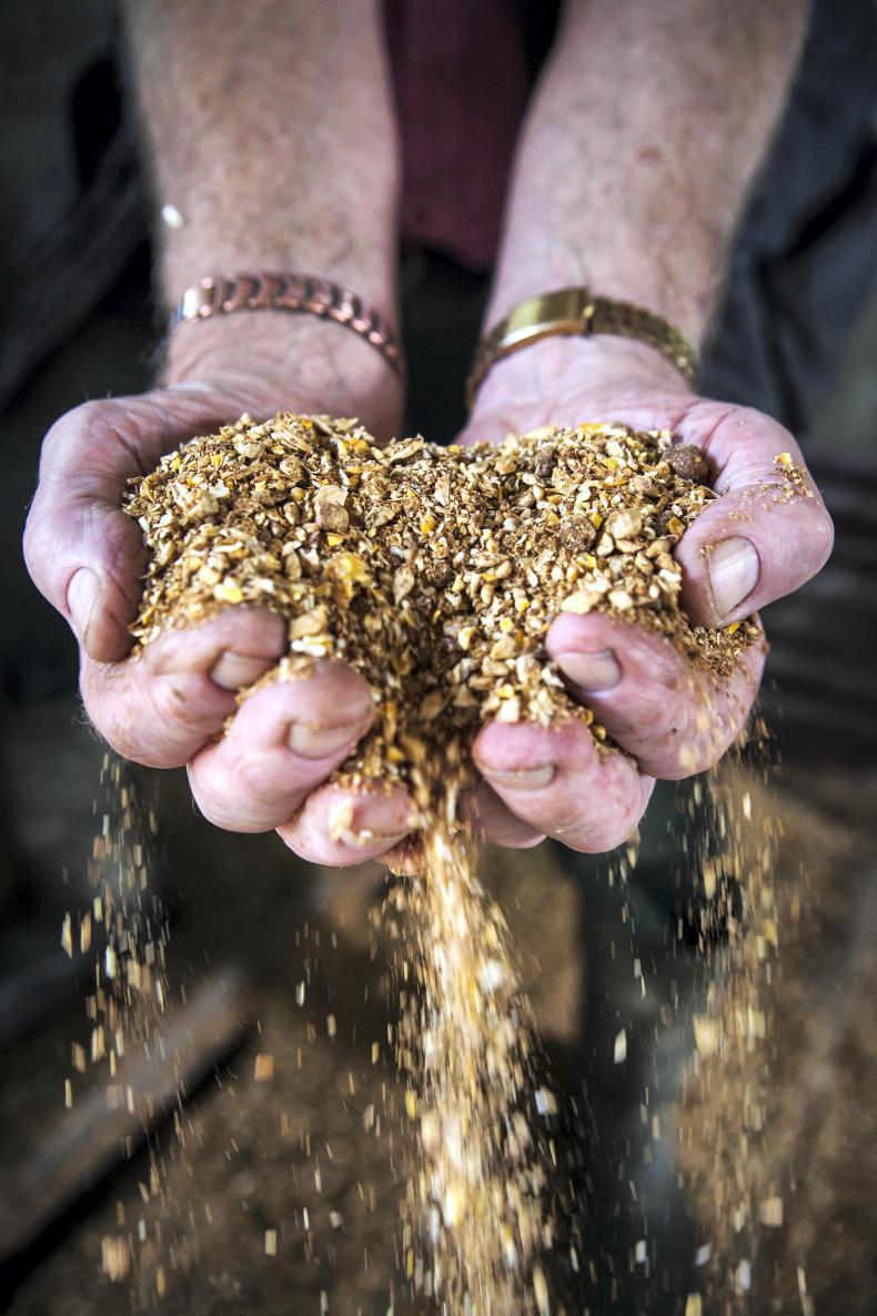 A growing appreciation for Irish grain - Premium