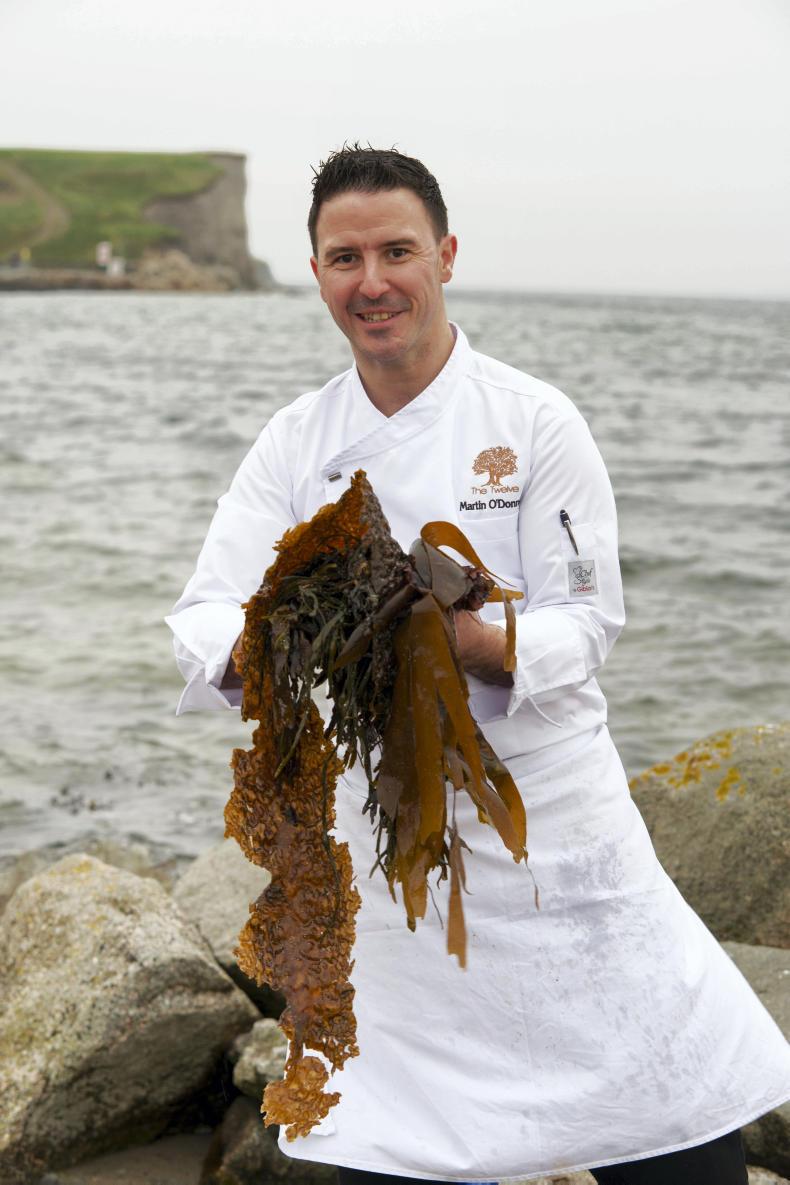 The elements of the Twelve - Premium