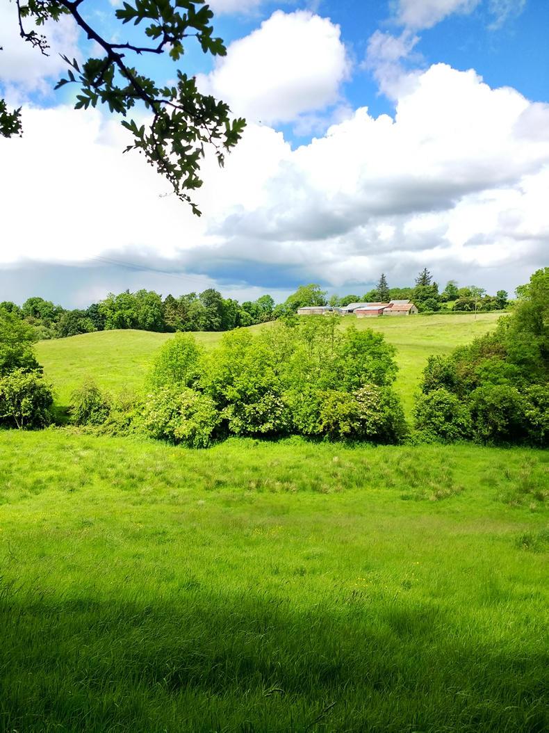 Over €9,500/ac sought for 63ac Monaghan farm - Premium