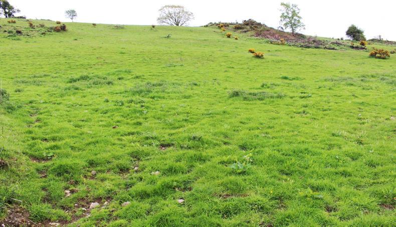 Land for sale near 'Ballykissangel' - Premium