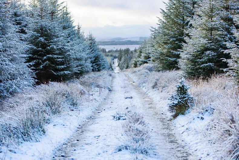 In pictures: first snow in Donegal - Free