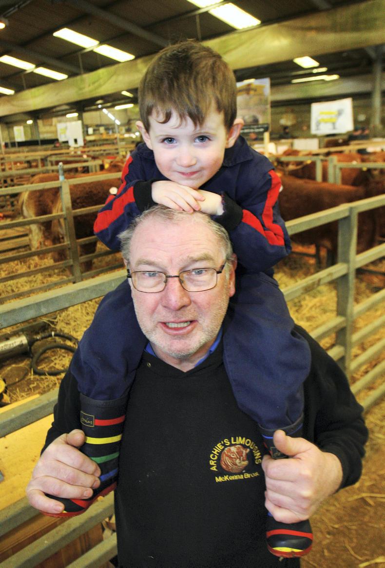 Around Northern Ireland in pictures this week - Premium