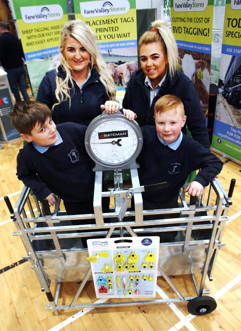 Around Northern Ireland in pictures this week - Premium