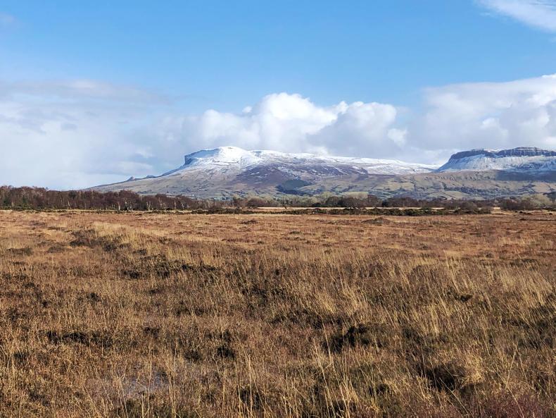 Loving living the Leitrim way - Premium