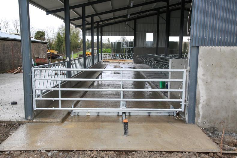 Tidy new cubicle shed in Tipperary - Premium