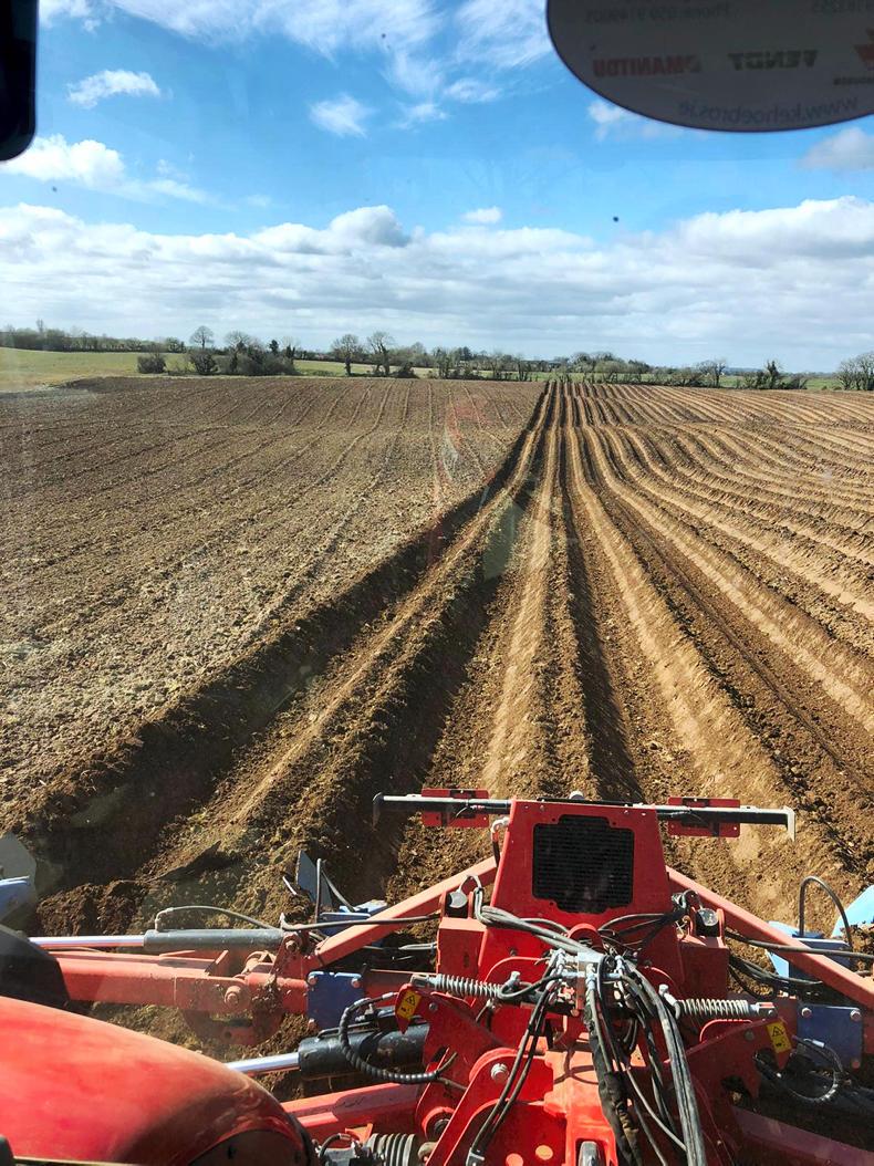 From the Tramlines: field work progress varies from north to south ...