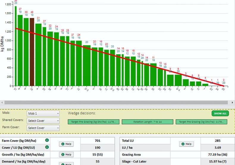 The Grass Week: making decisions based on your grass wedge - Premium
