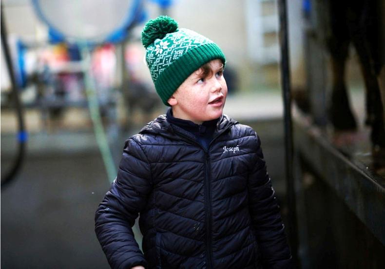 This week in photos: silage, bed tilling and spraying off rushes - Premium