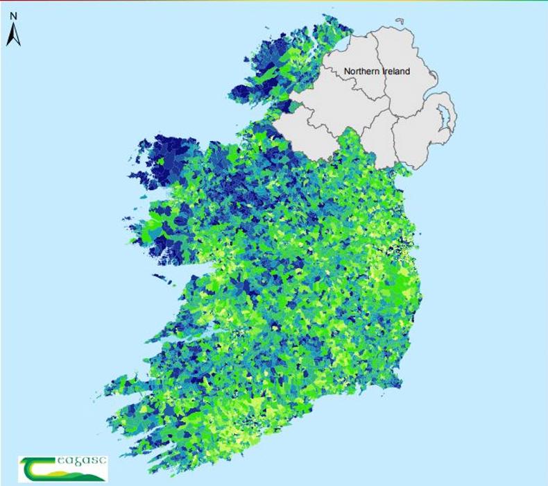 Teagasc map shows people most at risk of COVID-19 - Premium