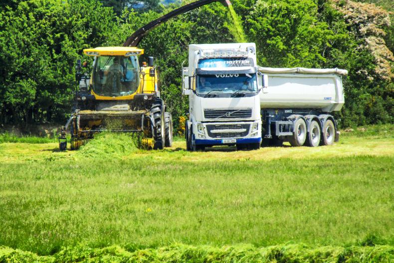 In pictures: this week's top 10 silage photo competition entries - Free