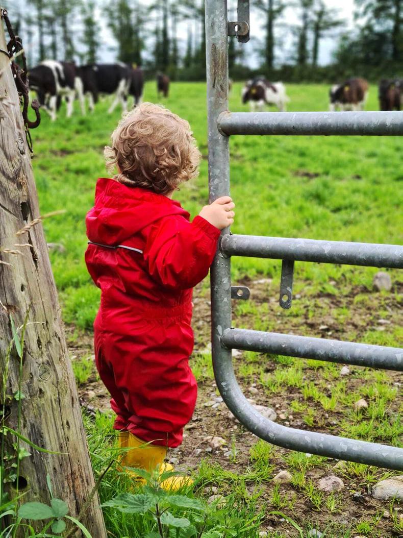 In pictures: our favourite readers' farming photos - Premium