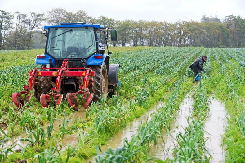 This week in photos: farming through the storm - Premium