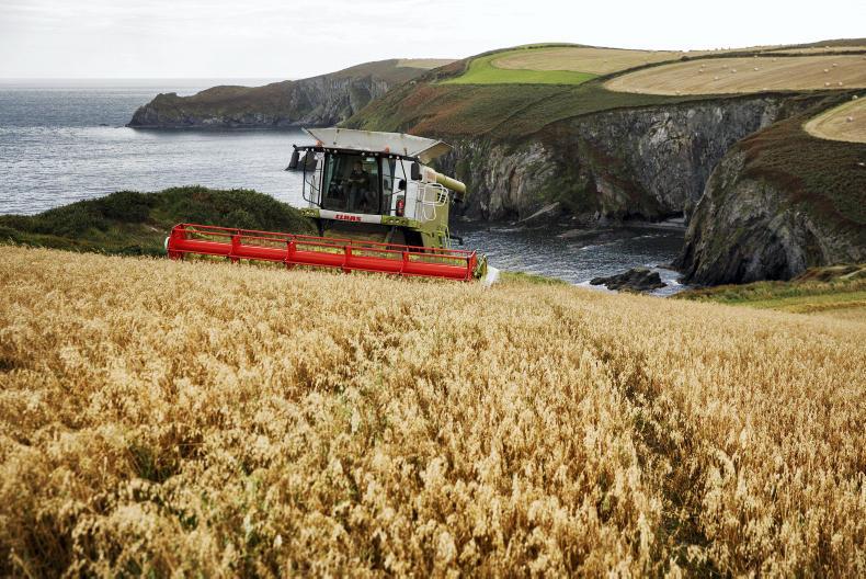 This week in photos: saving the harvest and drawing silage - Premium