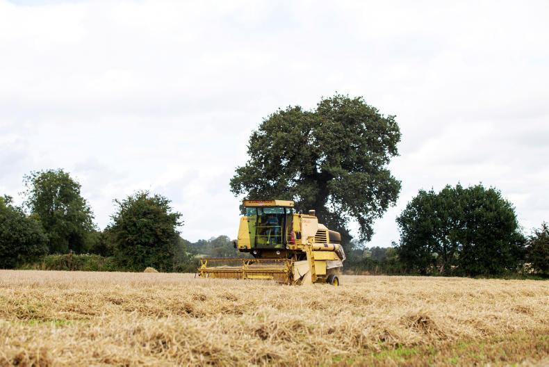This week in photos: saving the harvest and drawing silage - Premium
