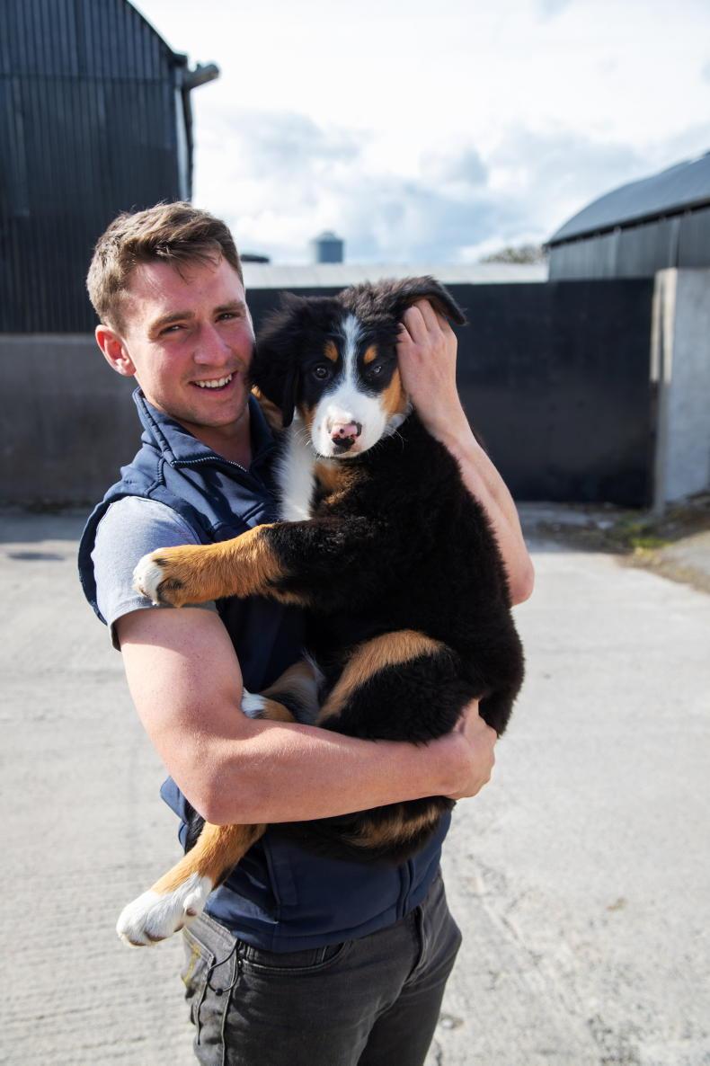 My Farming Week: David Russell, Corbally, Thurles, Co Tipperary - Free