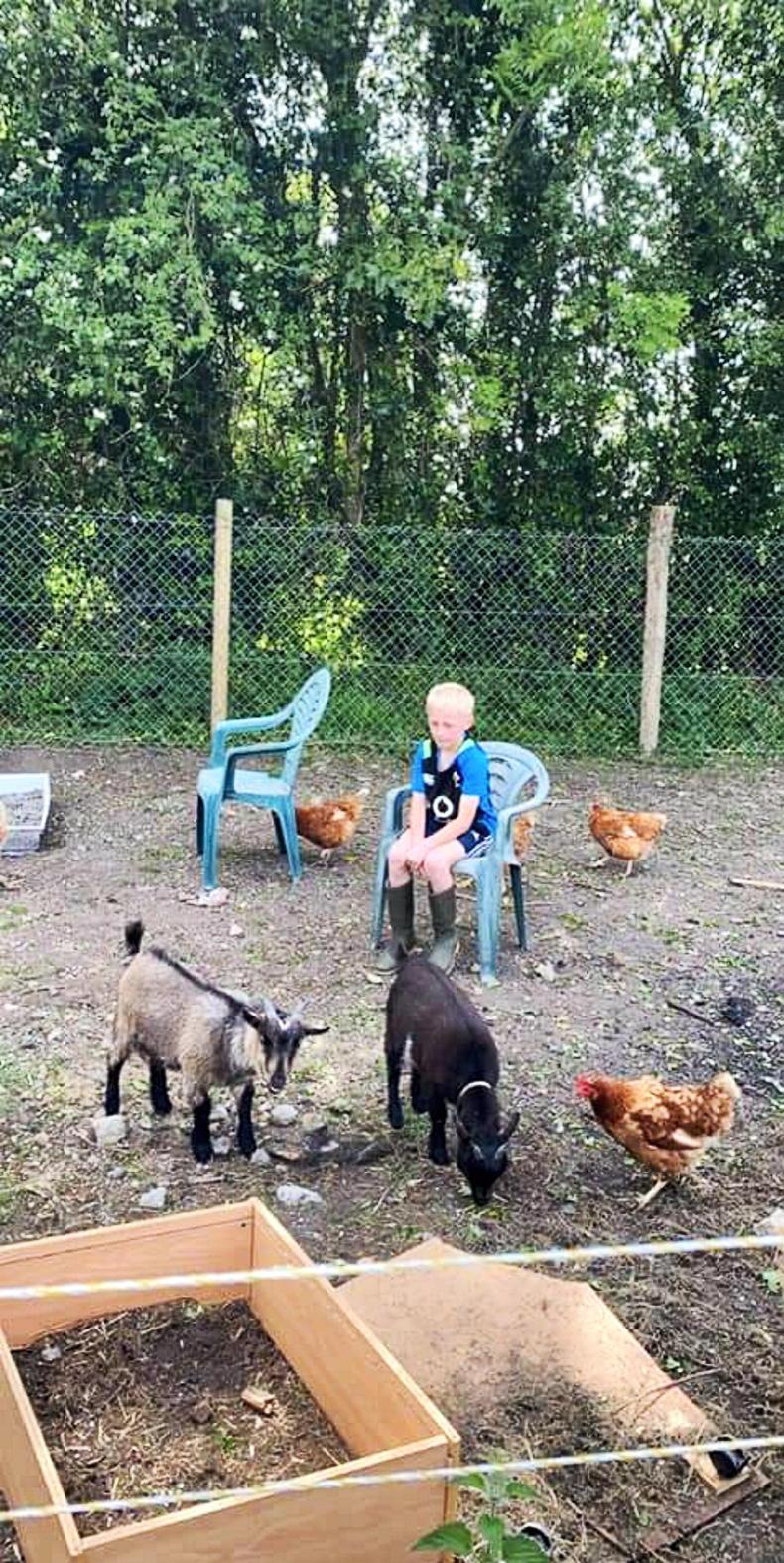 In pictures: your family farming photos - Premium