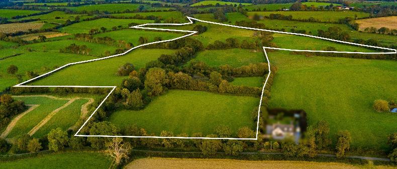 45ac with four-bed cottage for auction in Co Meath - Premium
