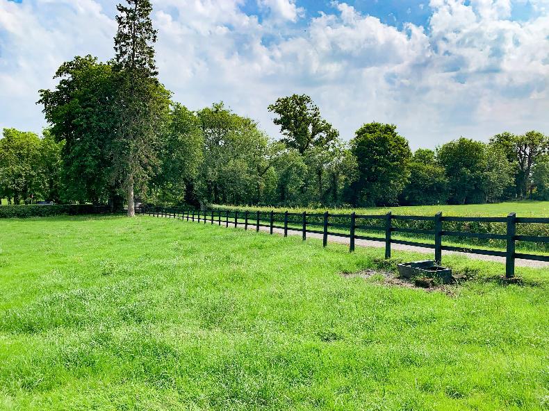 Farm with period house on edge of Cavan town - Premium