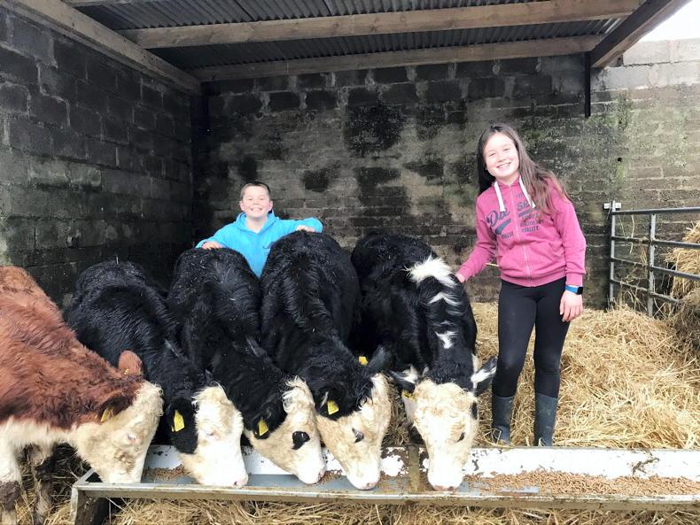 In pictures: our favourite readers' photos - Free