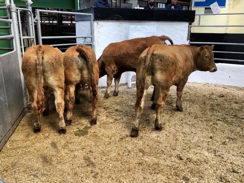 'Trade can hardly get much better' - Tullow Mart - Free