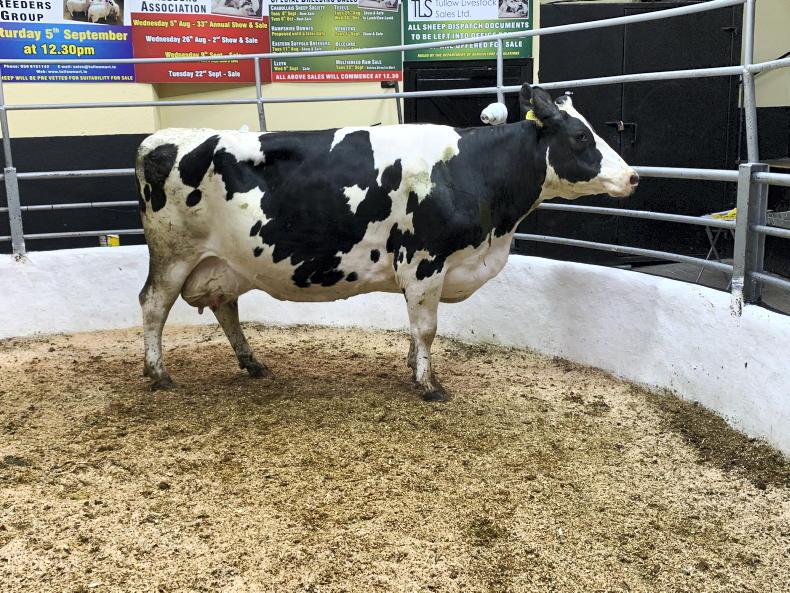 'Trade can hardly get much better' - Tullow Mart - Free