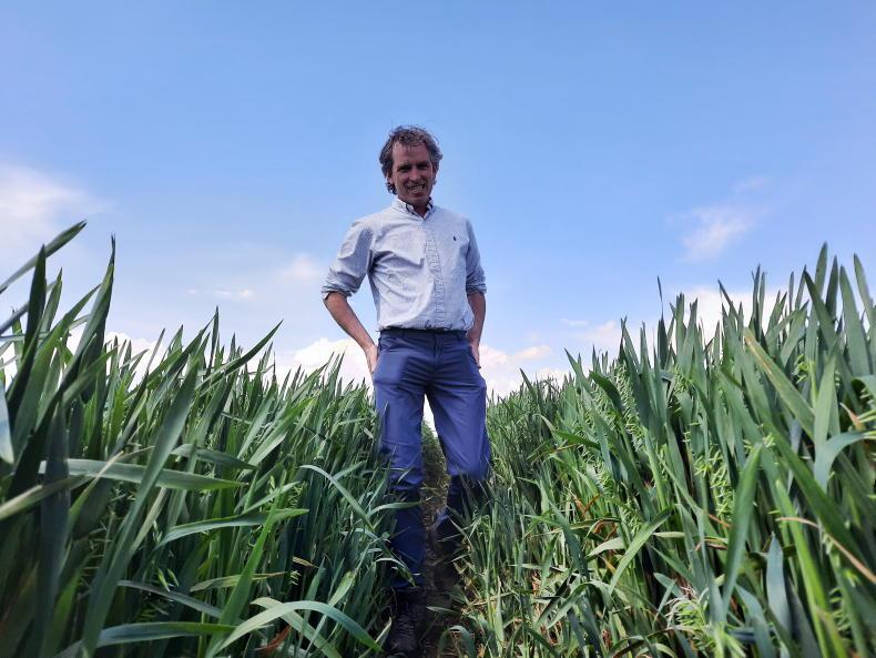 Gap in the market for oat drinks - Free