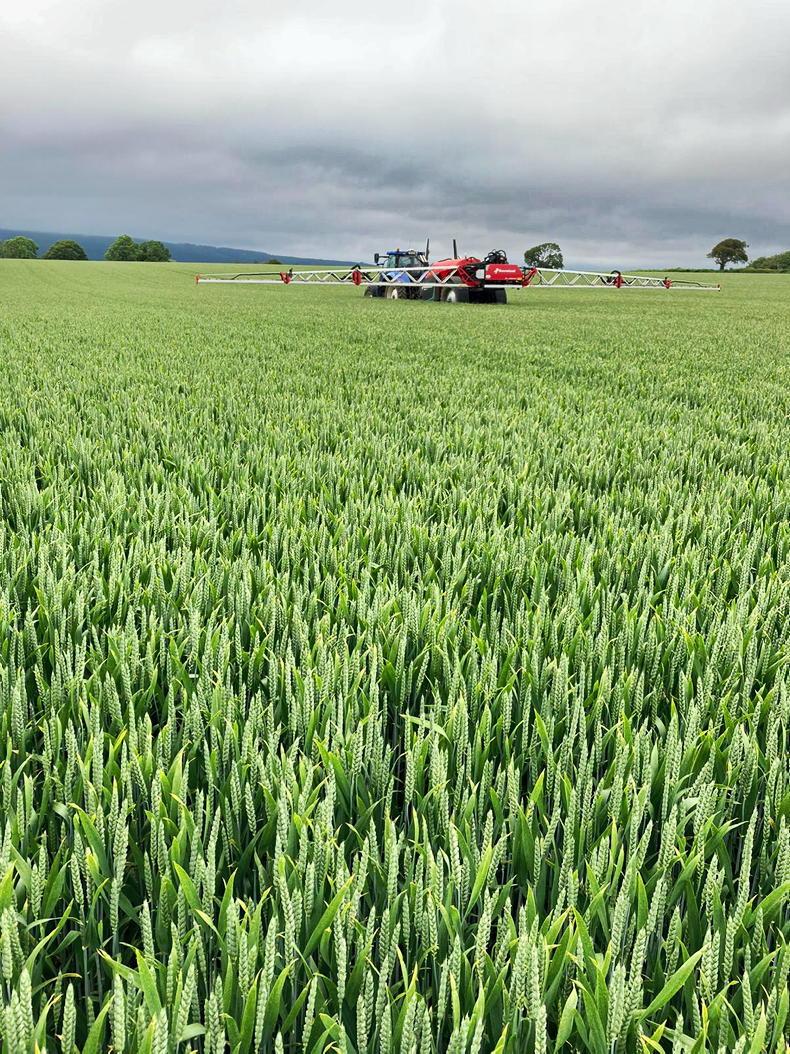 From the Tramlines: field compaction clear to see this season - Free