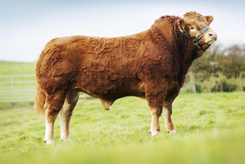 In pictures: the terminal index top 10 - Free