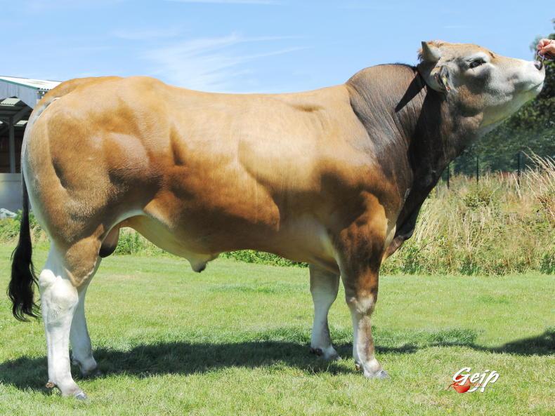 In pictures: the terminal index top 10 - Free