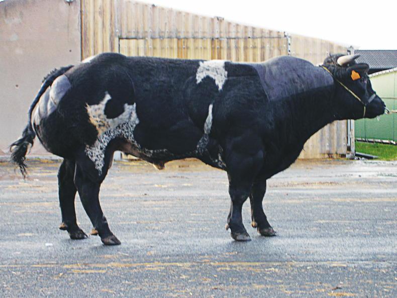 In pictures: the terminal index top 10 - Free