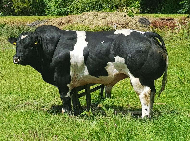 In pictures: the terminal index top 10 - Free