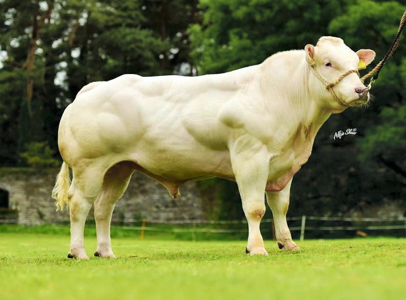 In pictures: the terminal index top 10 - Free