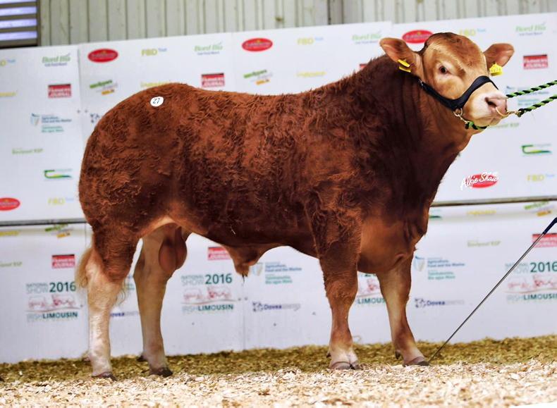 In pictures: the terminal index top 10 - Free