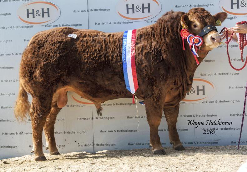 In pictures: the terminal index top 10 - Free