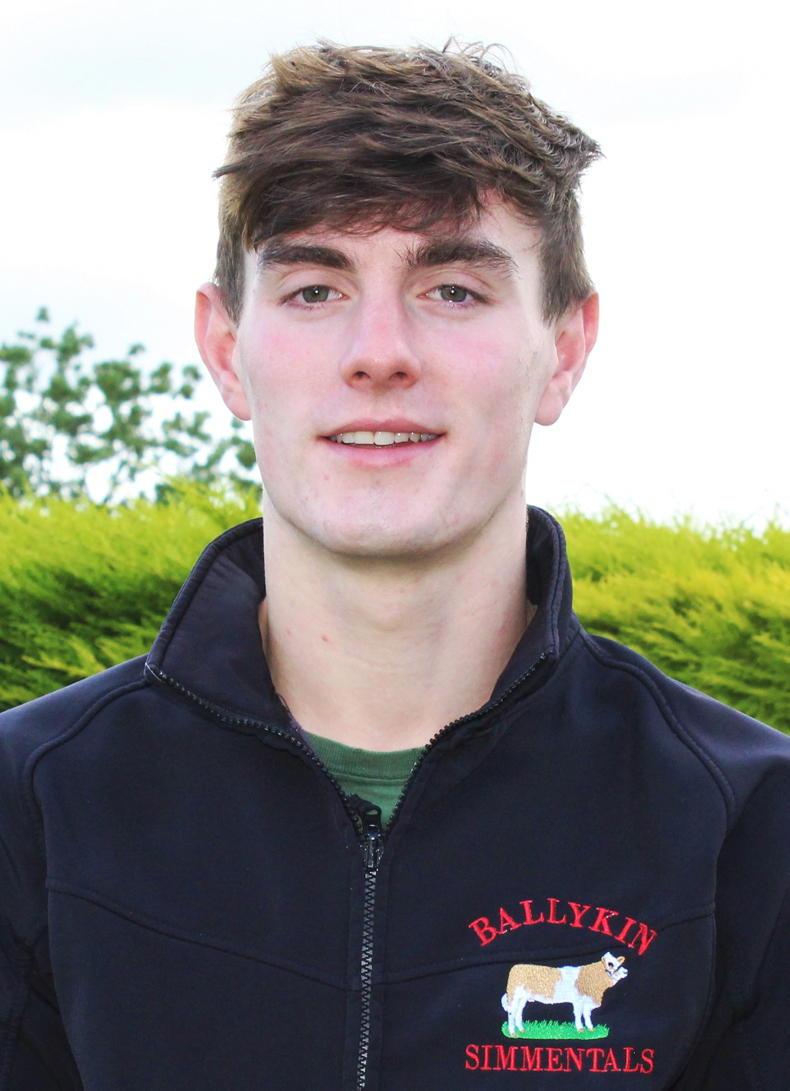 All-Ireland Young Stockperson Competition - meet the finalists - Free