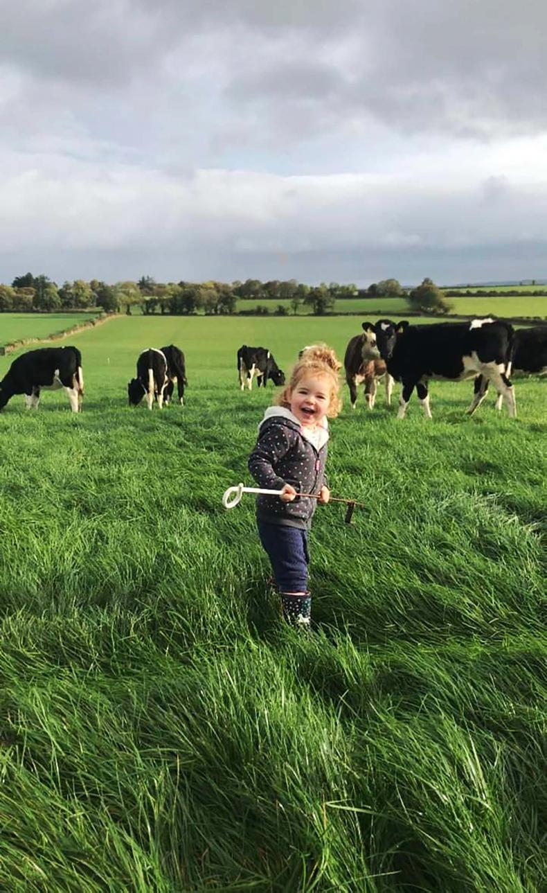 In pictures: our favourite farming photos - Free