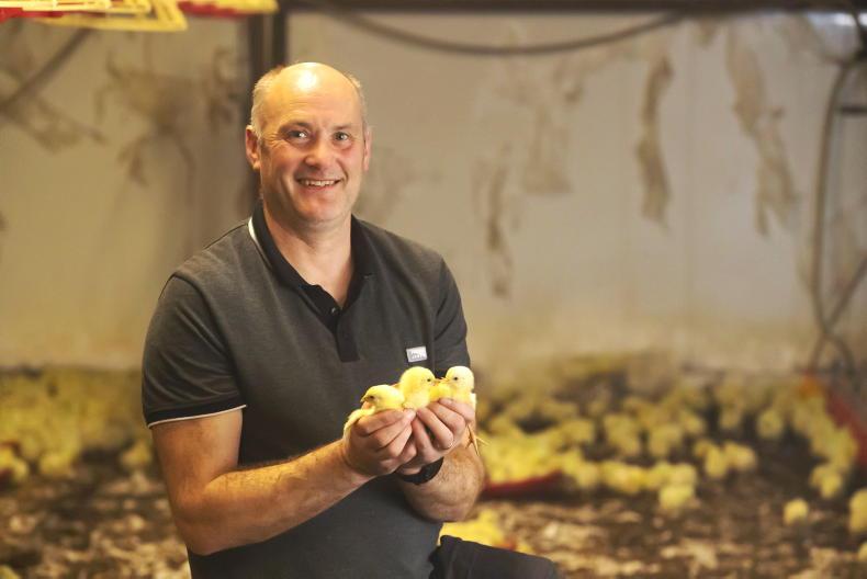 My Farming Week: Seán Ring, Rings Farm, Castlecomer, Co Kilkenny - Free