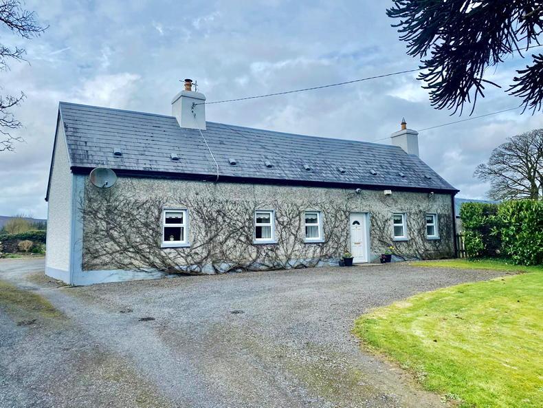 Laois farm has cattle yard and quaint farmhouse - Free