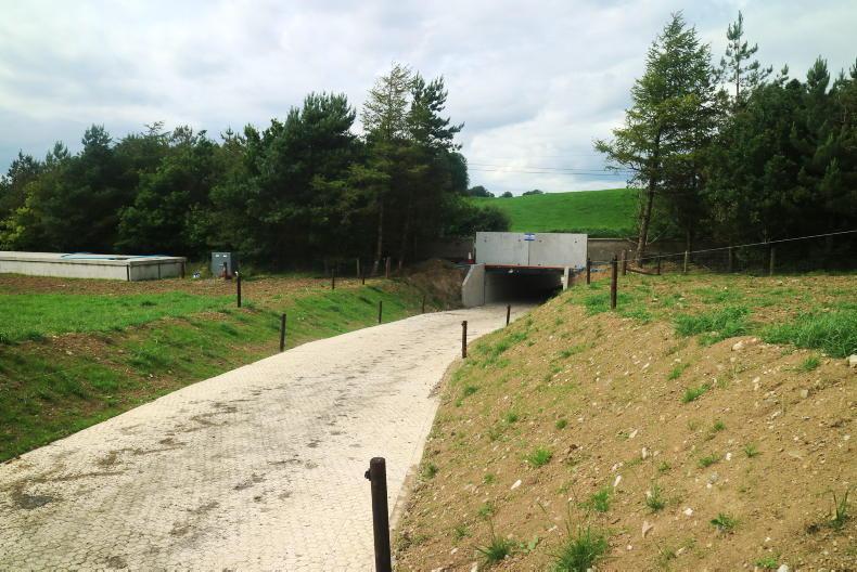 New cow underpass streamlines grazing - Free