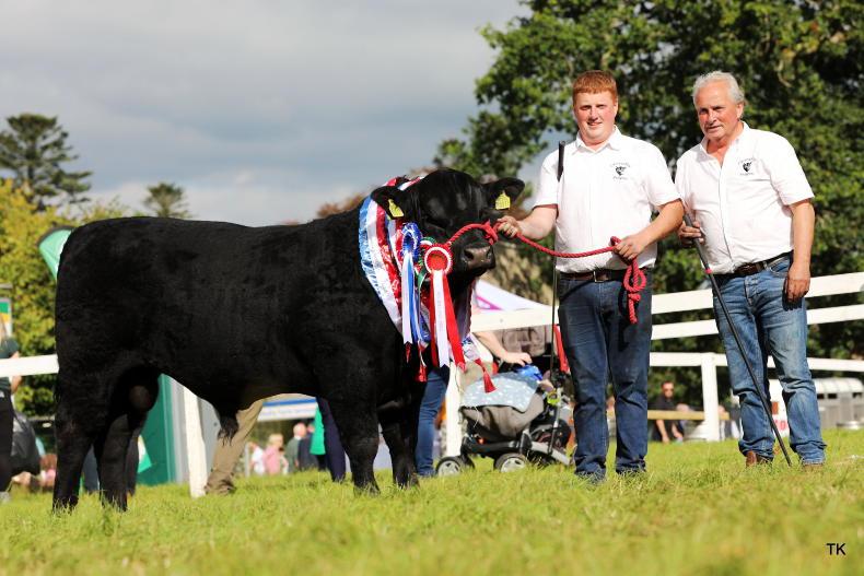 Moydrum sees off stiff competition in Strokestown - Free