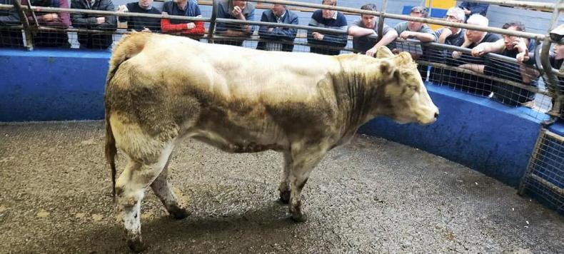 Camera at the Mart: forward stores flying in Roscrea - Premium