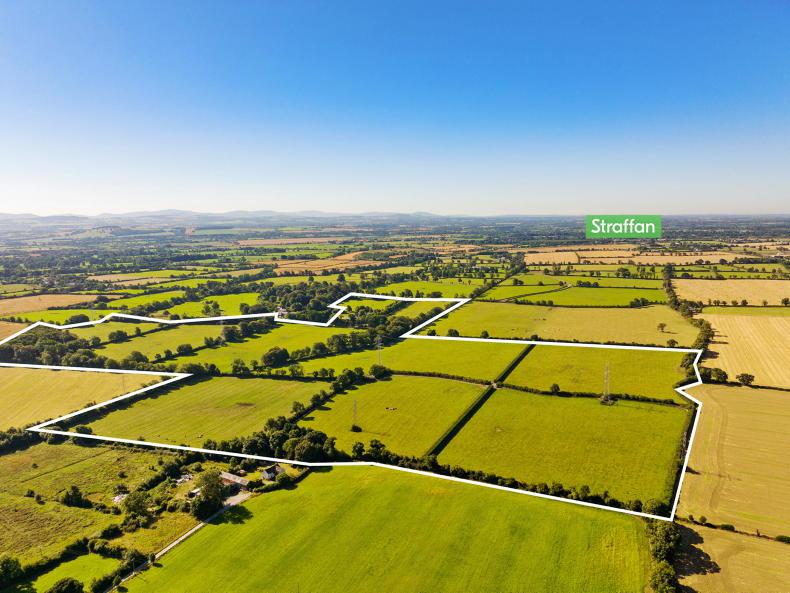 Two stud farms on the market in Kildare - Free