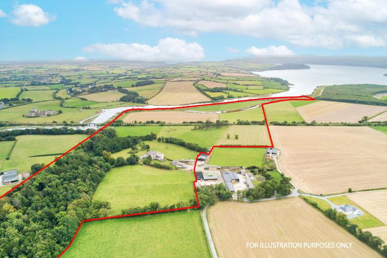 82.5ac with magnificent Georgian house in Wexford - Free